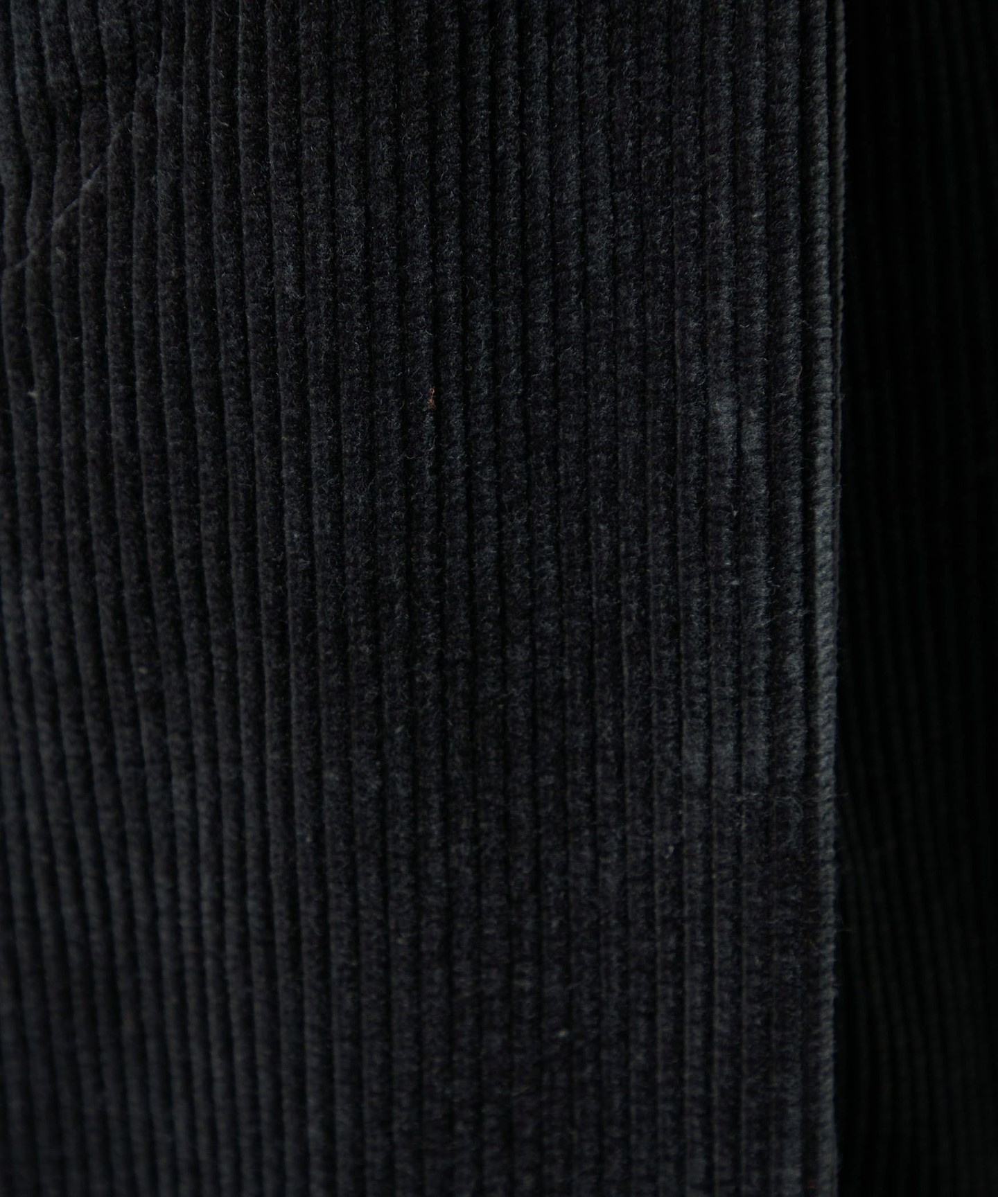 ＜Steven Alan＞ 8W 燈芯絨打摺西裝褲｜STEVEN ALAN｜UNITED ARROWS LTD. 官方購物網站